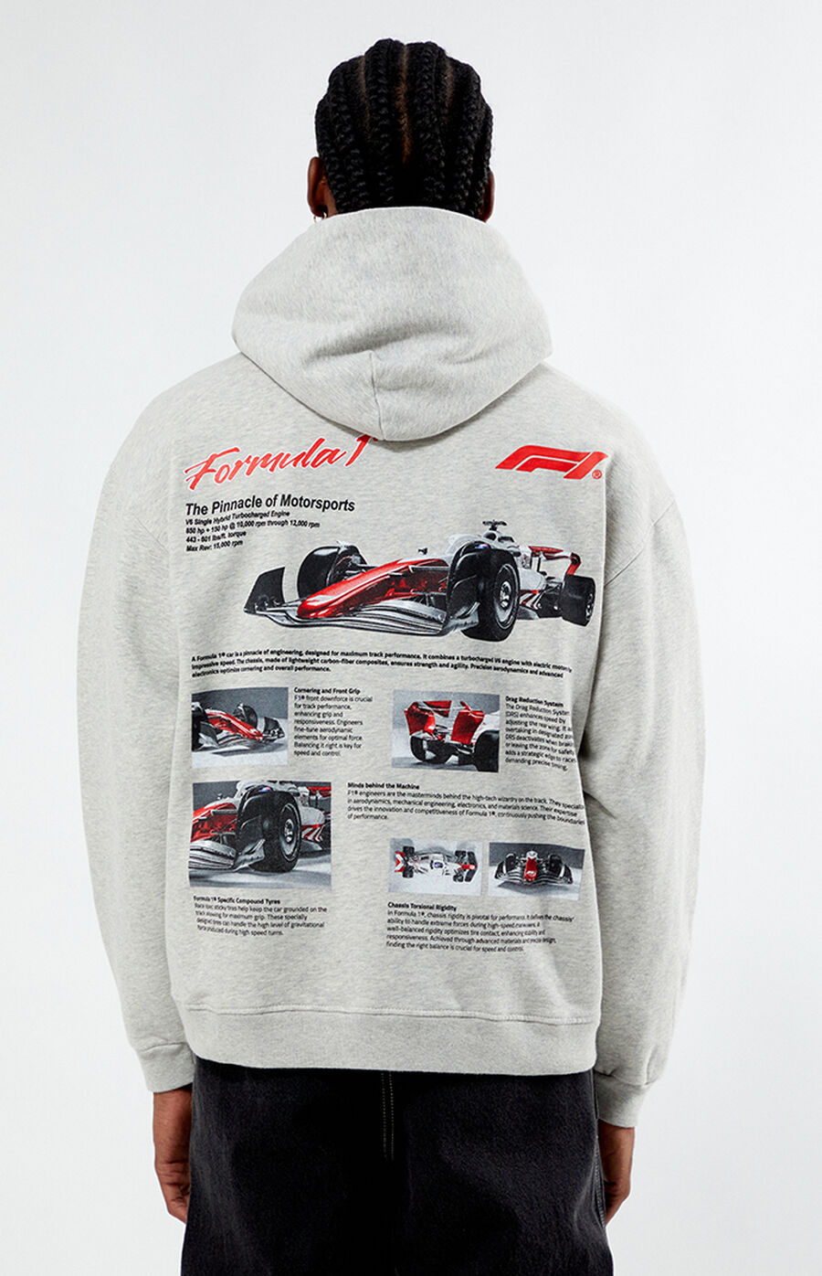 Formula 1 x PacSun Specs Hoodie | PacSun