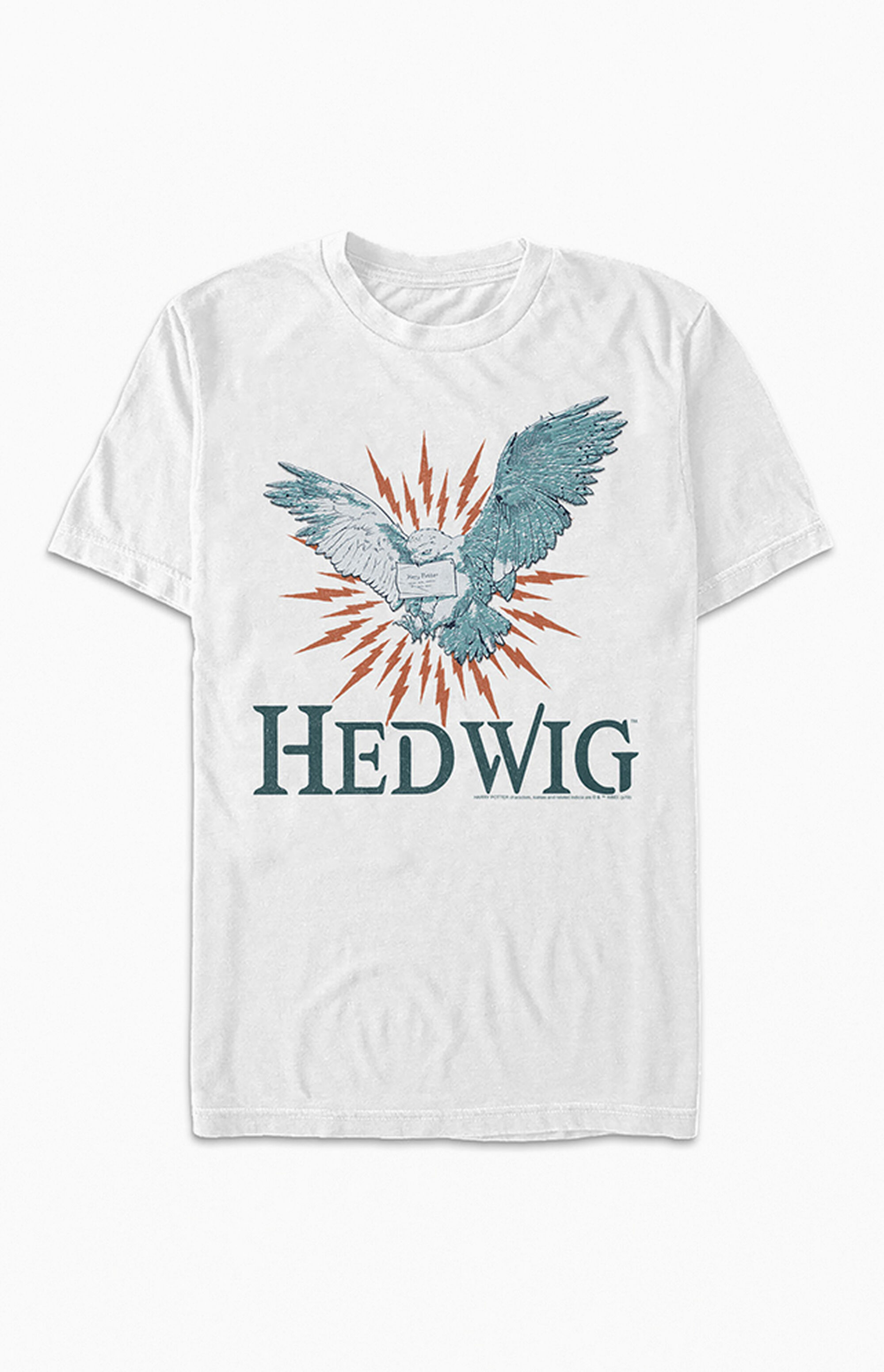 Harry Potter Hedwig Mail T-Shirt | Pacsun