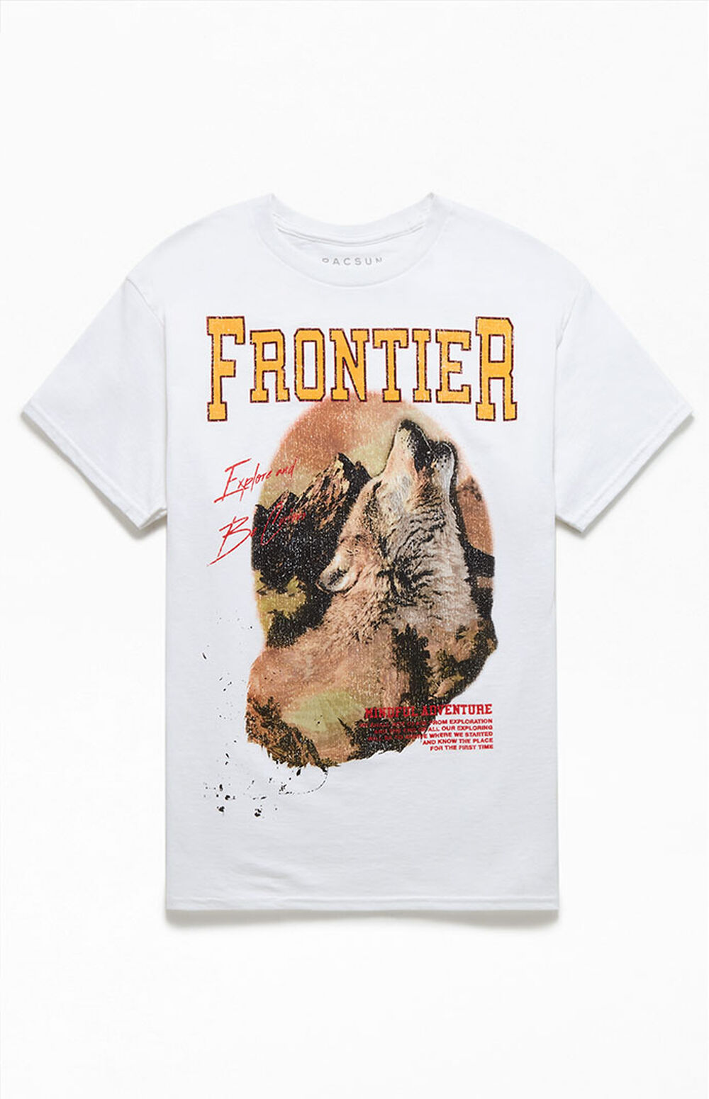 Pacsun Frontier T-Shirt | Pacsun
