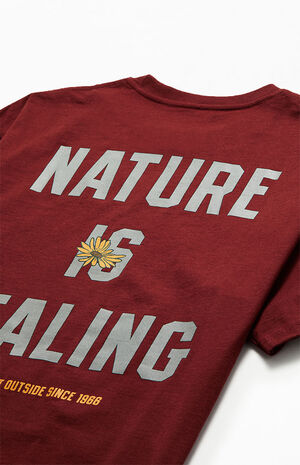 Vans Healing T-Shirt | PacSun
