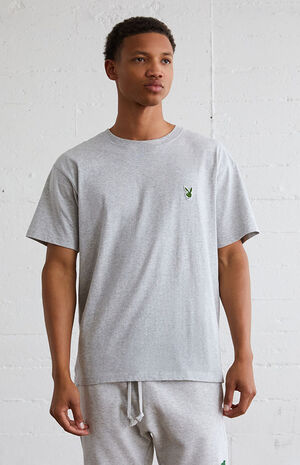 Playboy By PacSun Flag Label T-Shirt | PacSun