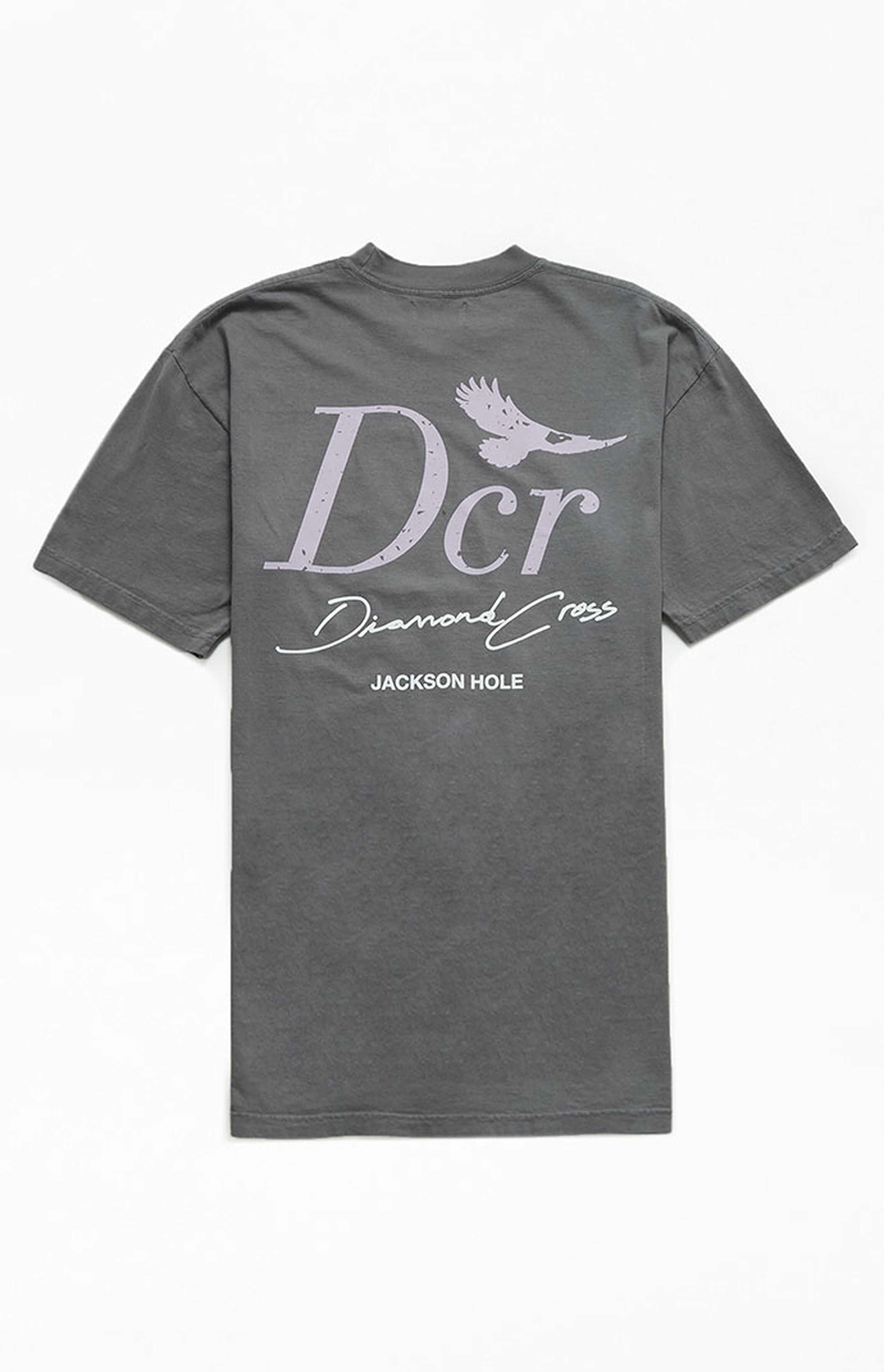 Diamond Cross Ranch Soaring T-Shirt | PacSun