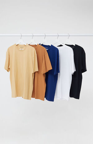 PS Basics 5 Pack Reece Seasonal T-Shirts | Pacsun