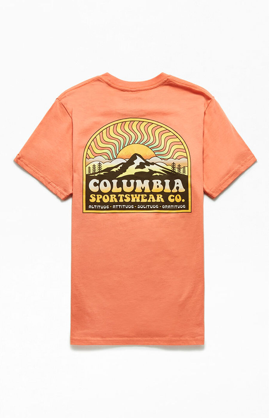 Columbia Sam T-Shirt | PacSun