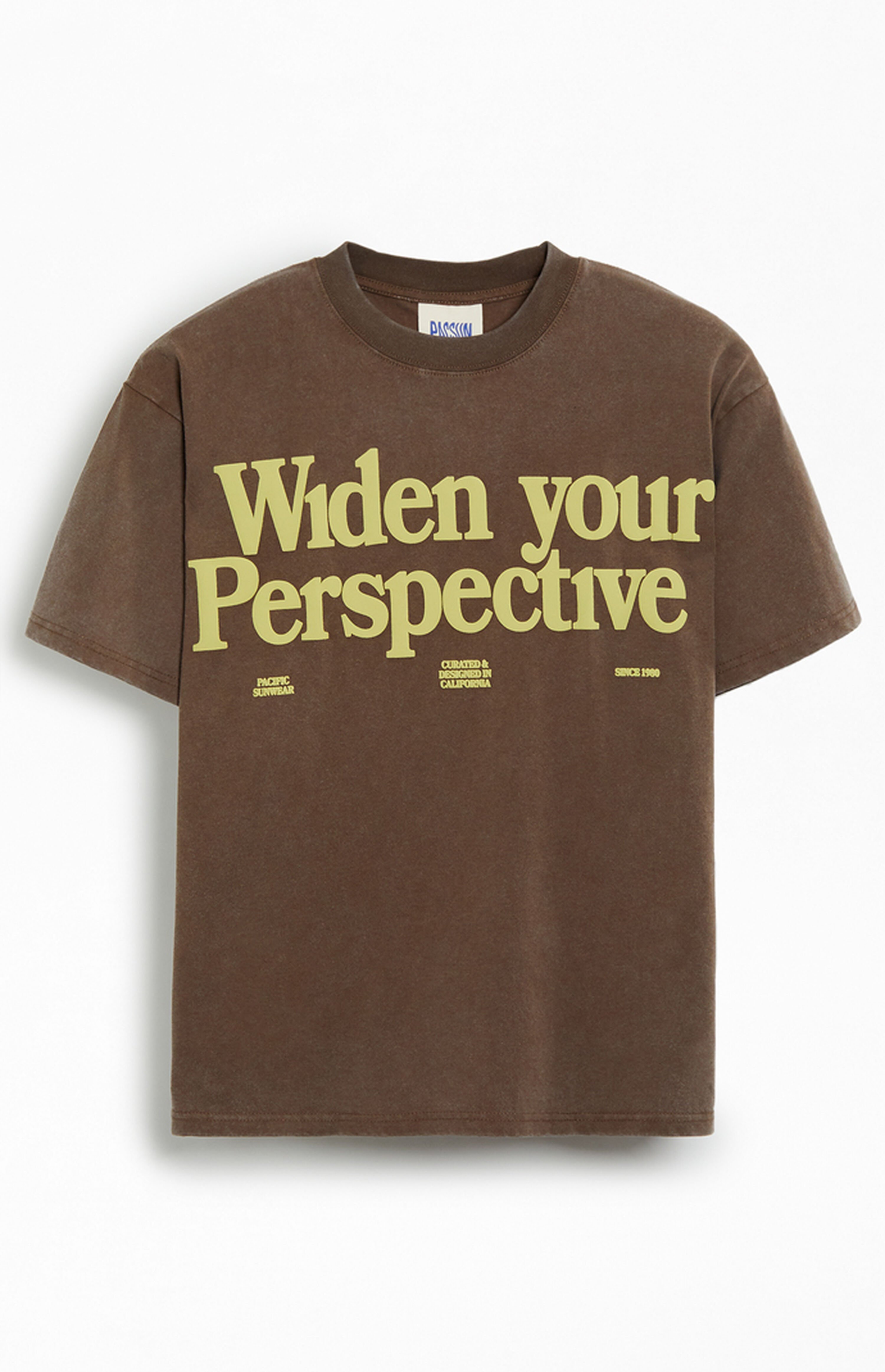 Pacsun POV Oversized T-Shirt | PacSun