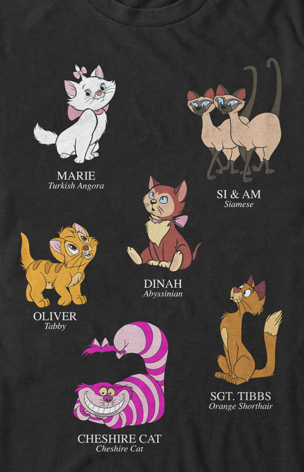 Disney Cat Breeds T-Shirt | Pacsun