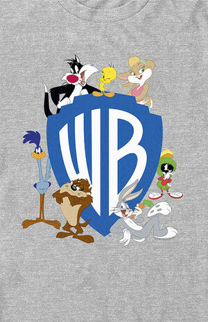 Looney Tunes WB T-Shirt | PacSun