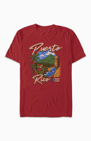 Puerto Rico T-Shirt | PacSun