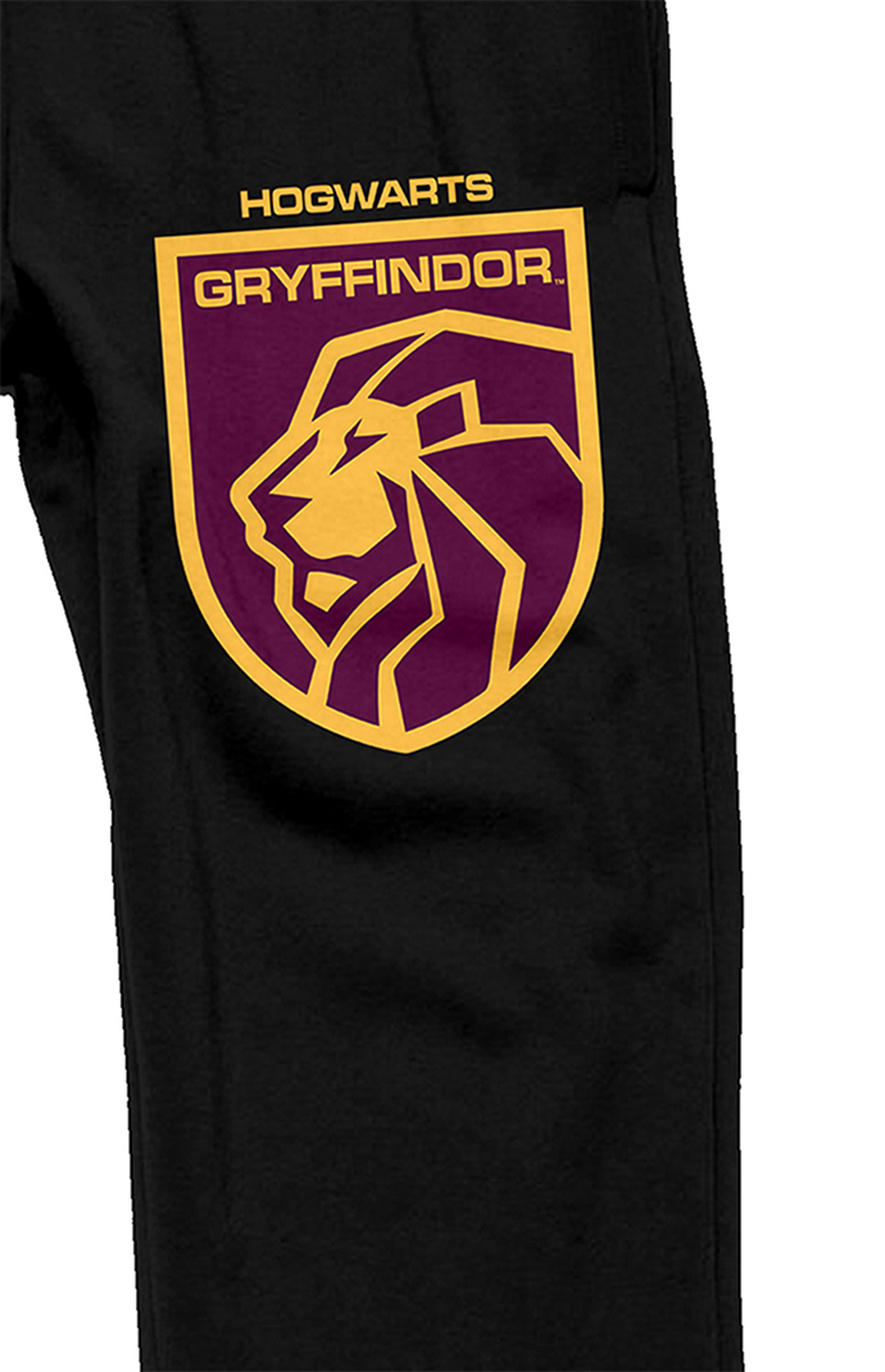 Harry Potter House of Gryffindor Sweatpants | Pacsun