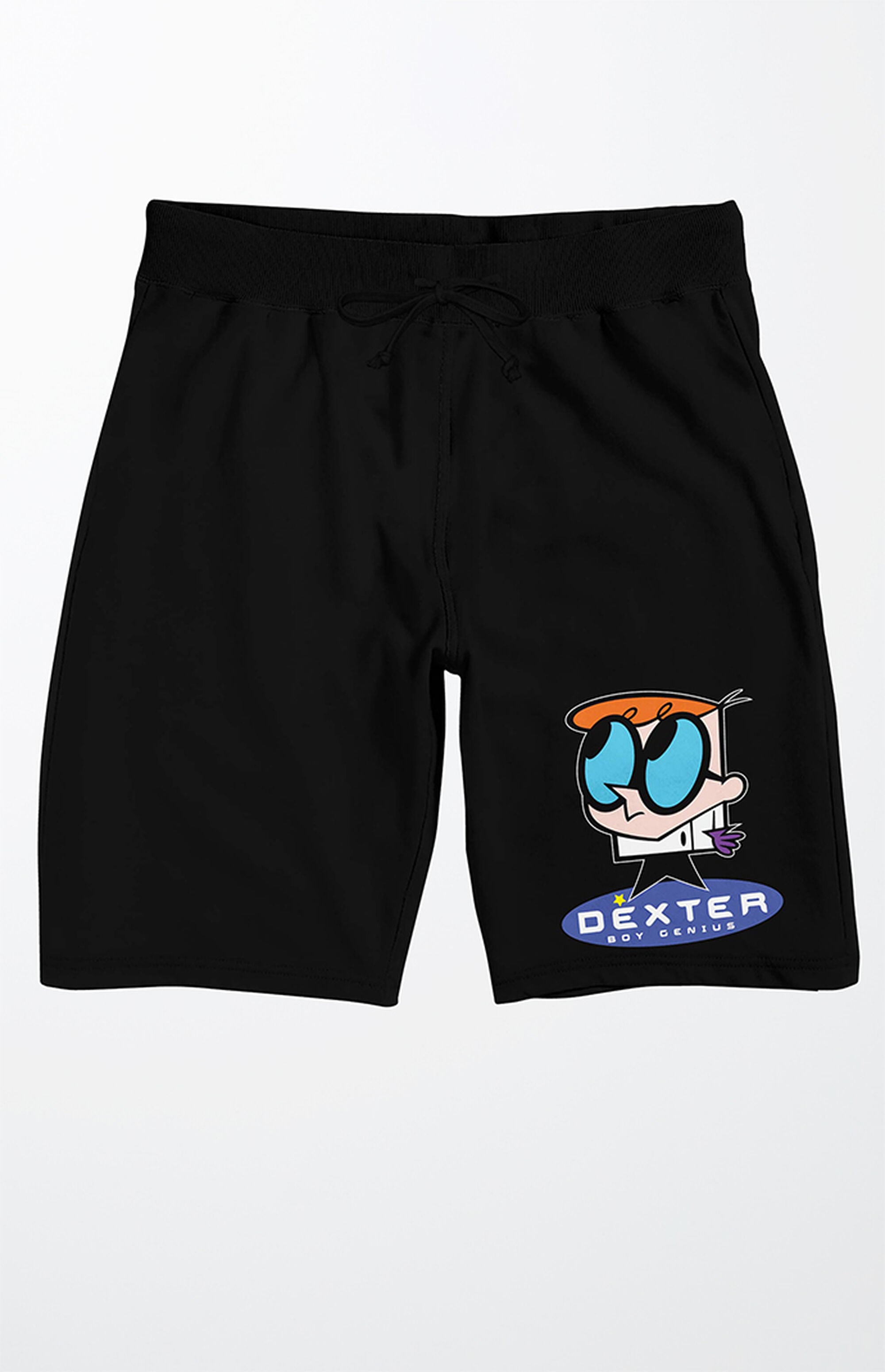 Dexter's Laboratory Logo Sweat Shorts | Pacsun