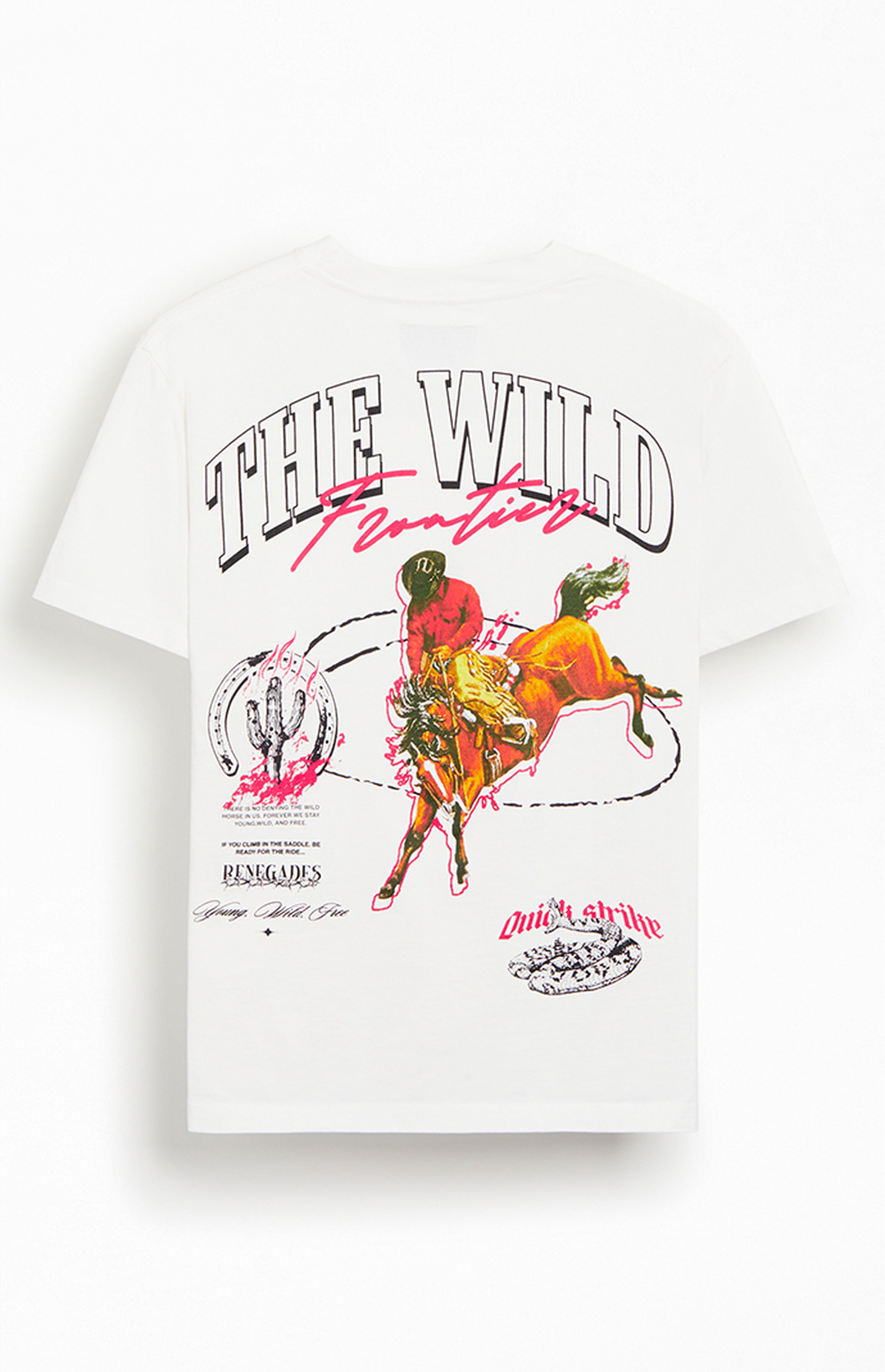 Pacsun Wild Frontier Oversized T-Shirt | Pacsun