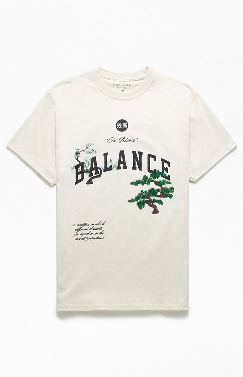 Pacsun Balance T-Shirt | Pacsun