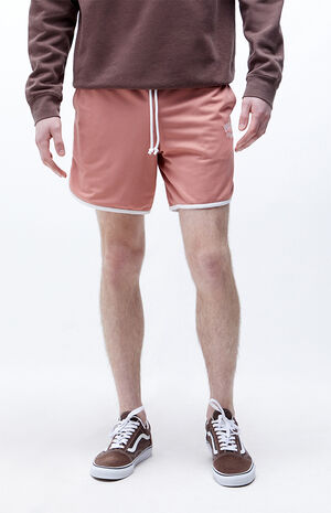 PacSun Mesh Dolphin Shorts | PacSun