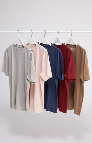 PS Basics 5 Pack Basic Seasonal T-Shirts | PacSun