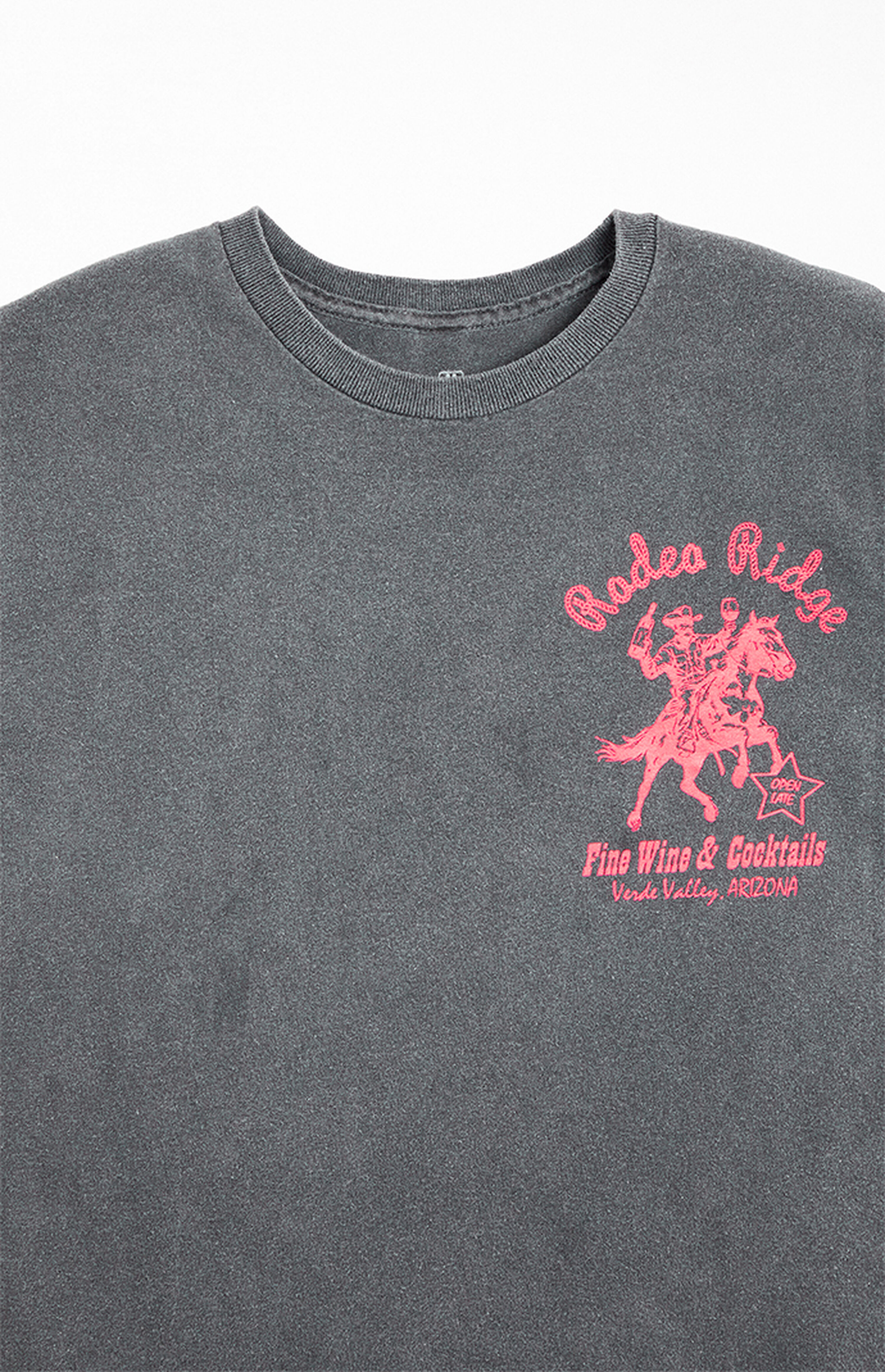 Rodeo Ridge Arizona T-Shirt | PacSun