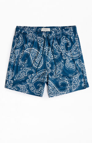 Pacsun Blue Aaron Paisley Mesh Volley Shorts | PacSun