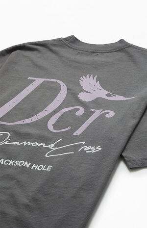 Diamond Cross Ranch Soaring T-Shirt | PacSun