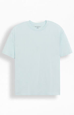 PS Basics Reece T-Shirt | PacSun