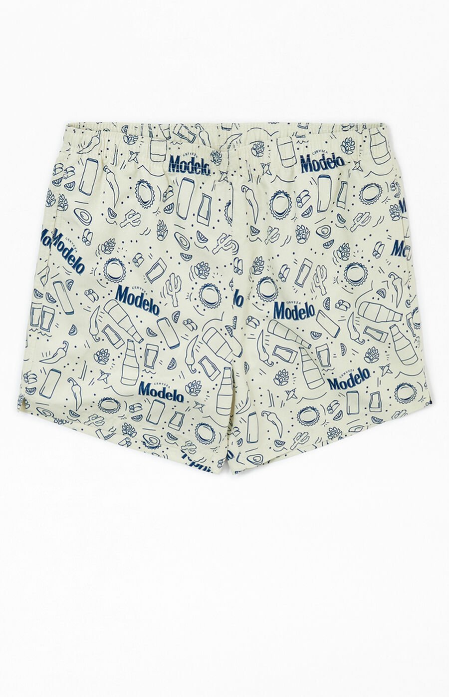 Modelo 5" Swim Trunks | PacSun