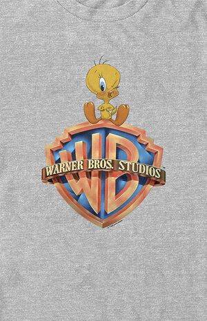 Tweety Retro WB T-Shirt | PacSun