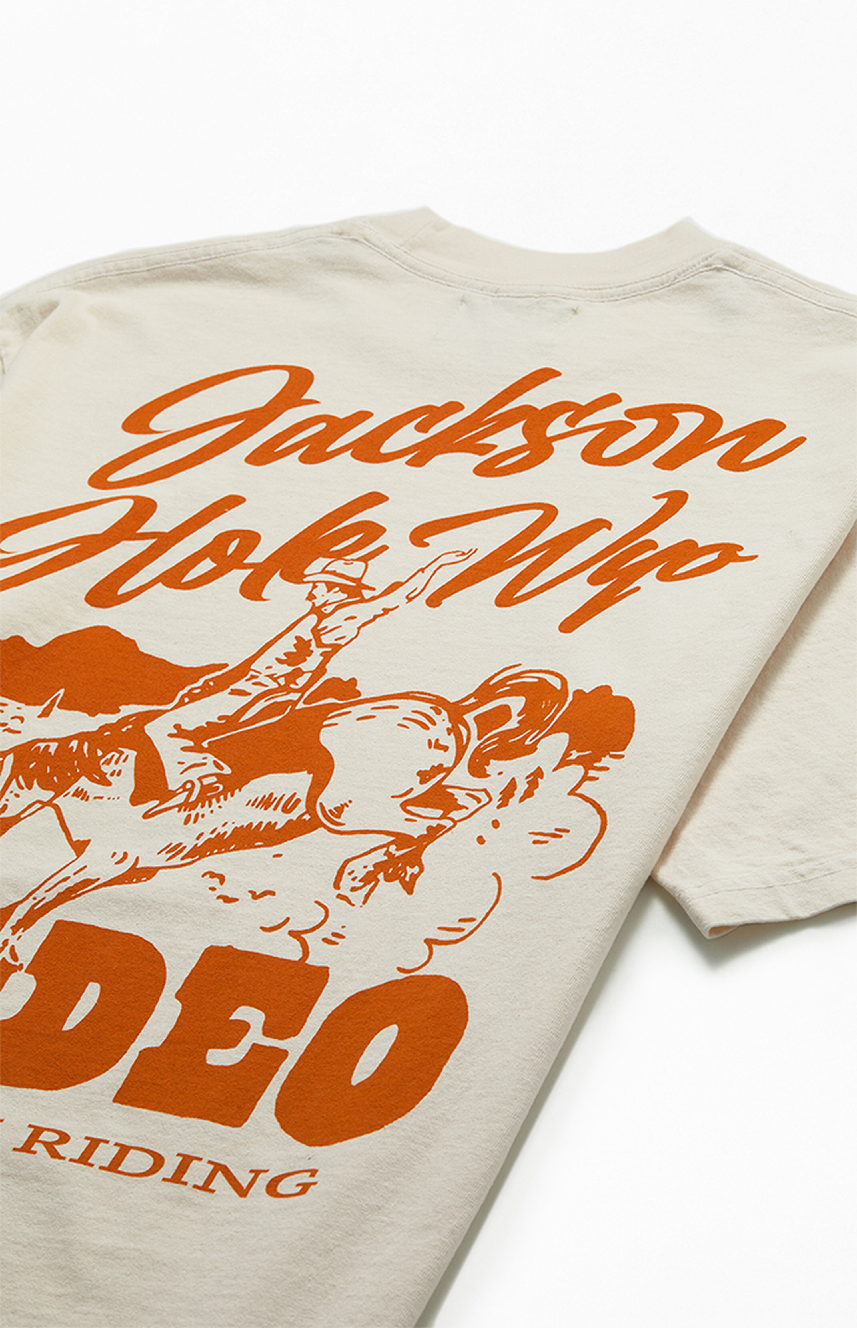 Diamond Cross Ranch Keep On Riding T-Shirt | PacSun
