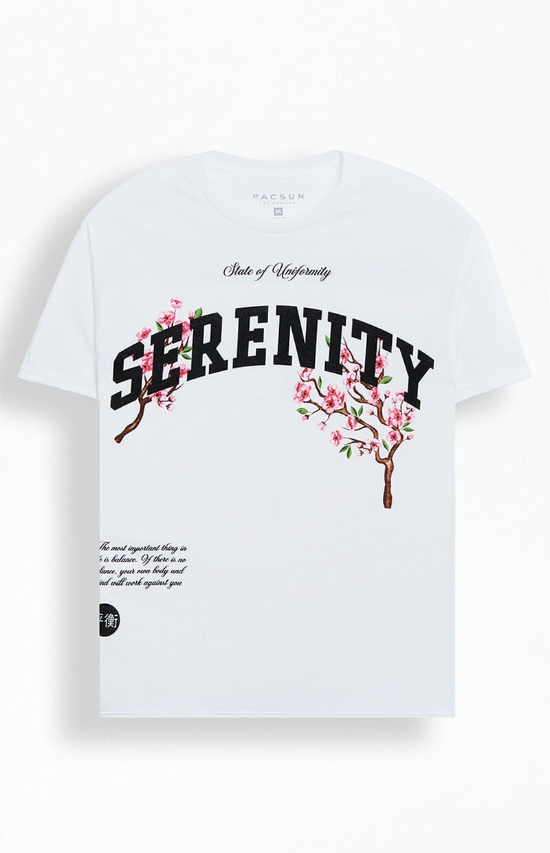 Pacsun Serenity T-Shirt | PacSun
