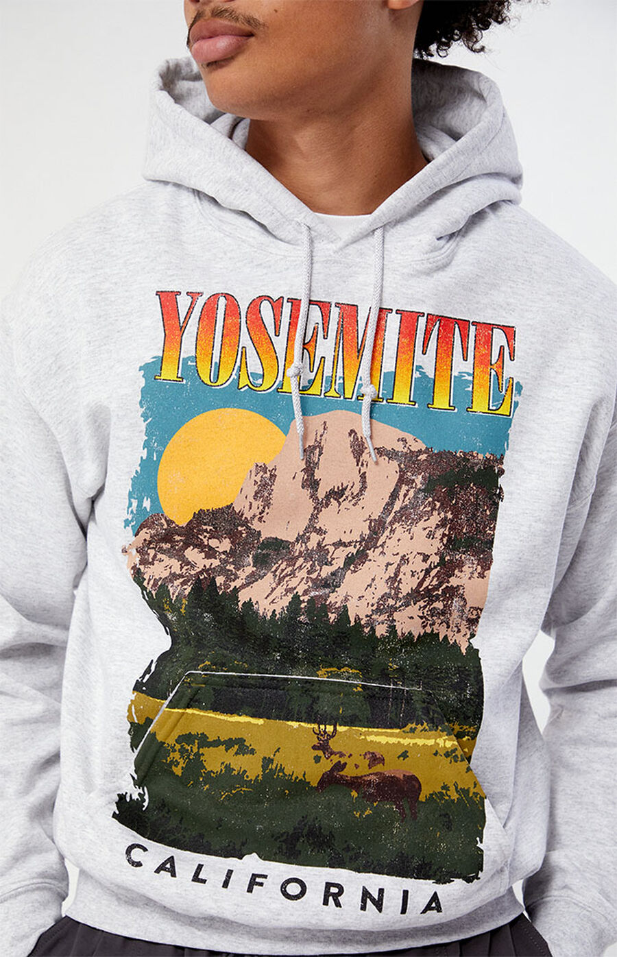 Yosemite Hoodie | PacSun