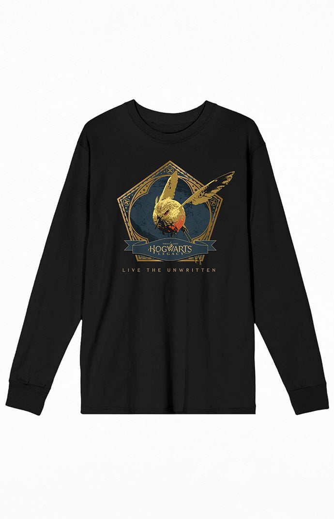 Hogwarts Legacy Merch | Pacsun