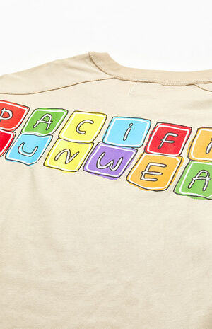 Pacsun B2SS Pacific Sunwear Secure The Bag T-Shirt | PacSun