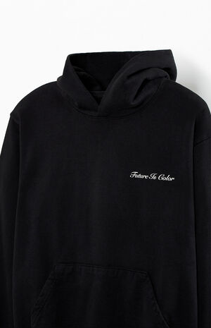 FUTURE IS COLOR Unity Project Hoodie | PacSun