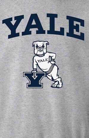 Yale University Crew Neck Sweatshirt | PacSun