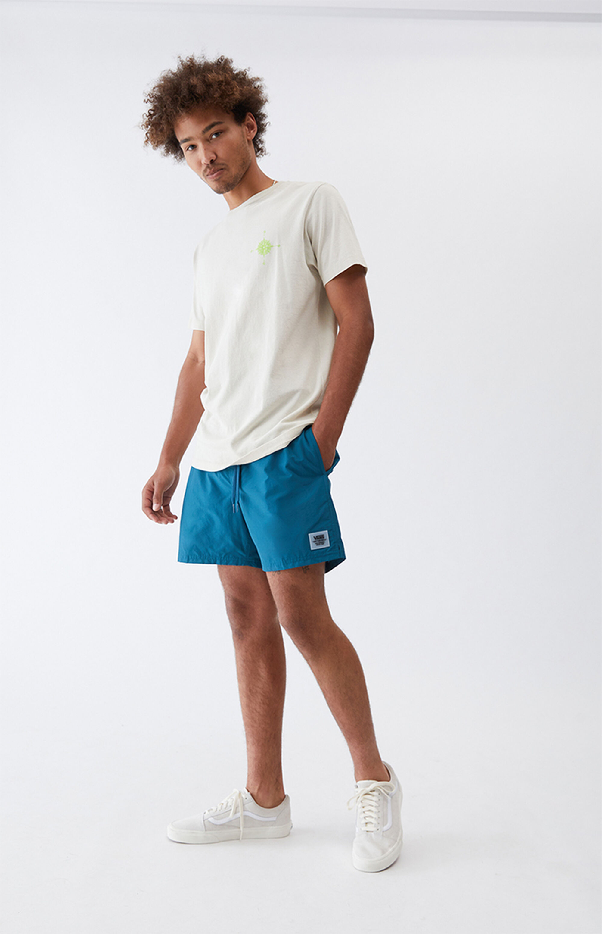 Vans Dark Blue Primary Volley Shorts | PacSun