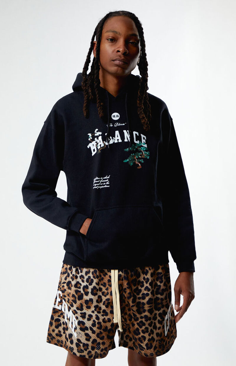 Pacsun Balance Hoodie | PacSun