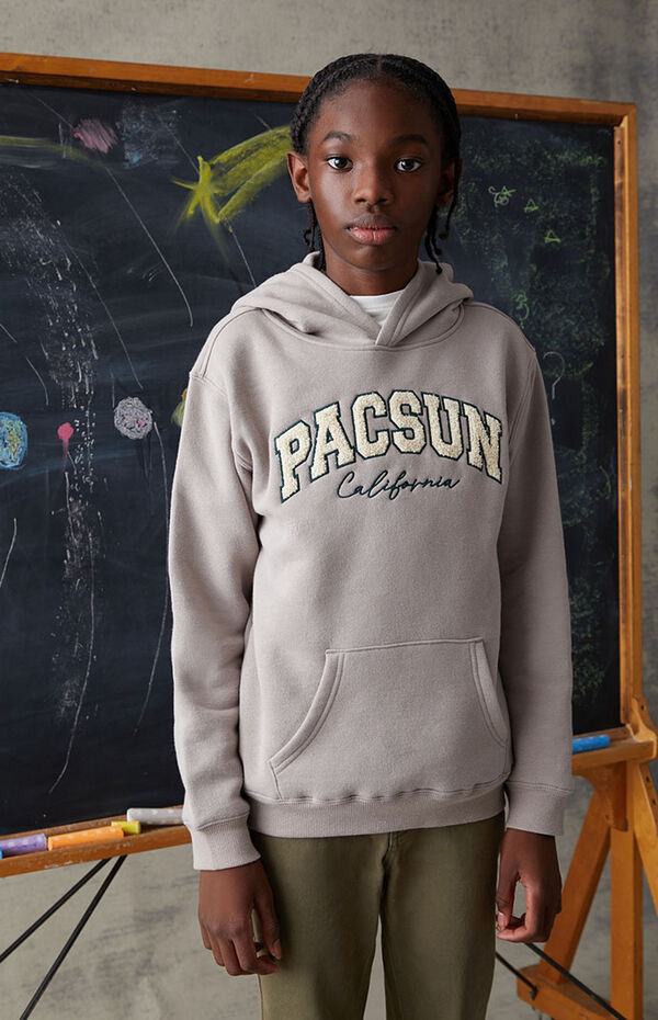 Pacsun Kids Gray Basic Hoodie | PacSun