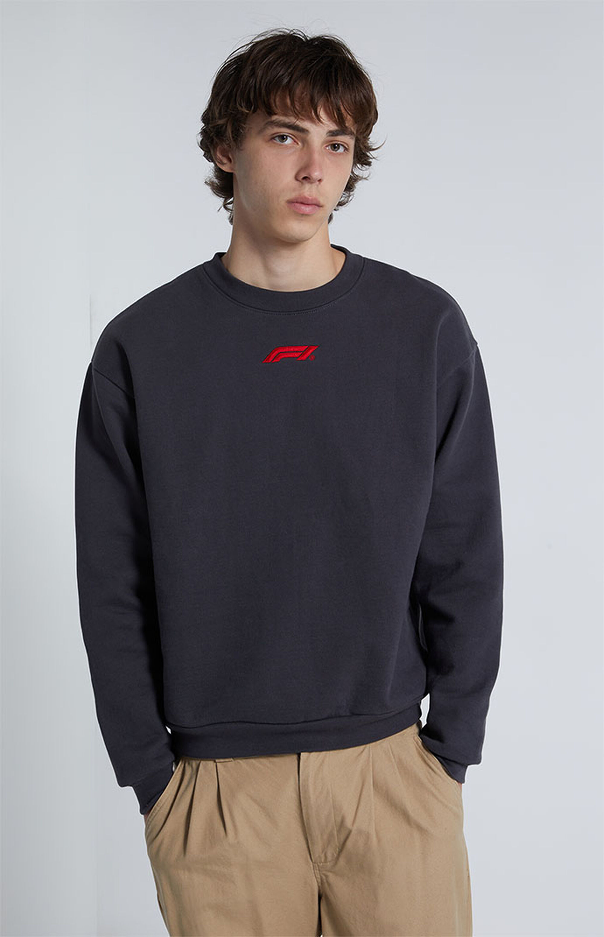 Formula 1 x PacSun Eco Logo Crew Neck Sweatshirt | PacSun