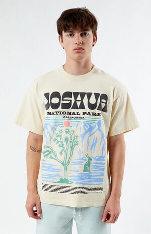 Pacsun Joshua Tree Puff Oversized T-Shirt | PacSun