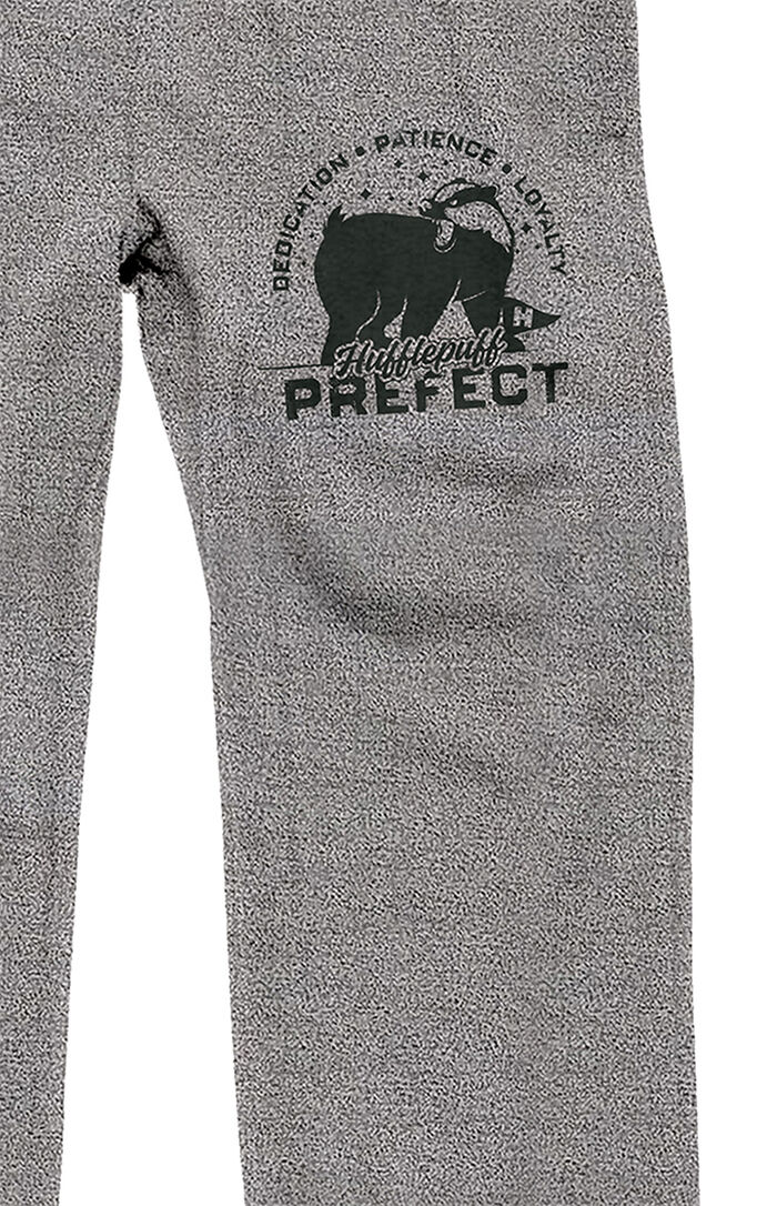 Harry Potter Hufflepuff Sweatpants | PacSun
