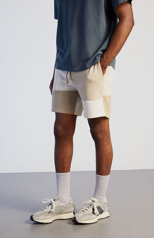 PacSun Colorblock Fleece Volley Sweat Shorts | PacSun