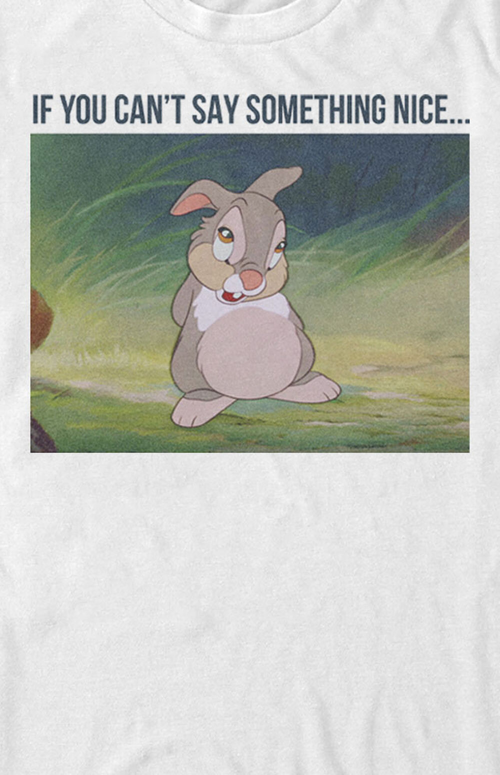 Bambi Thumper Meme T-Shirt | Pacsun