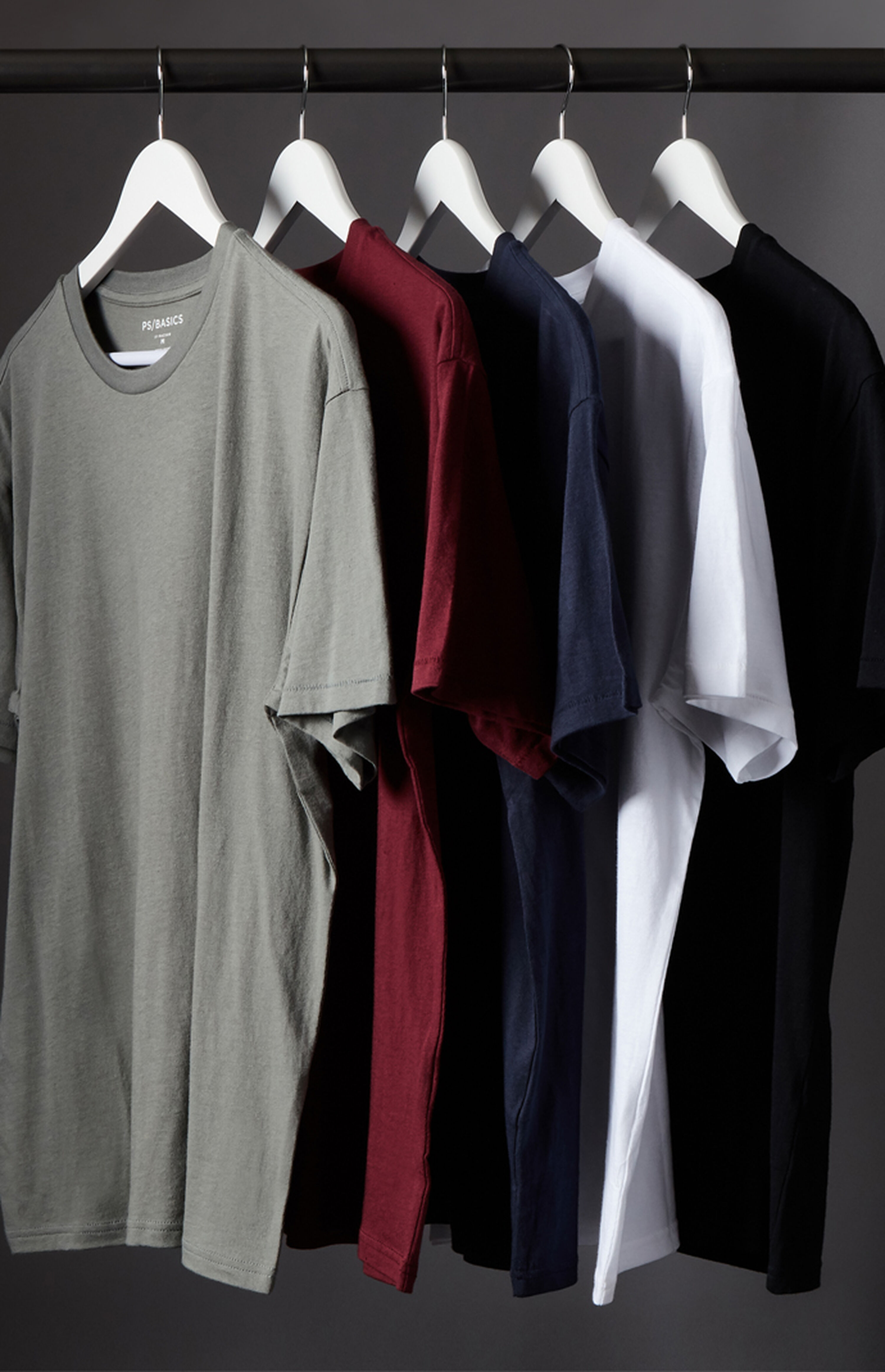 PS Basics 5-Pack Griffin Regular T-Shirts | PacSun