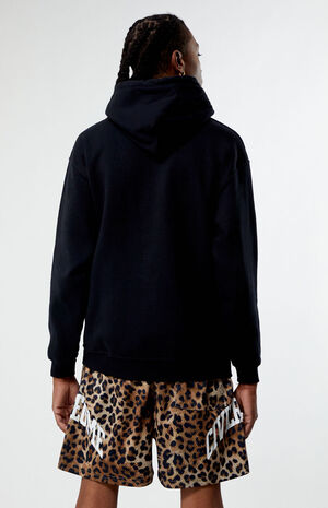 Pacsun Balance Hoodie | PacSun