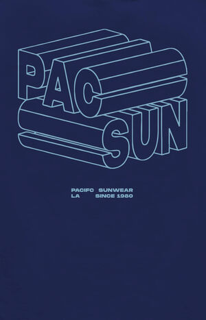 Blue PacSun 3D Logo T-Shirt | PacSun