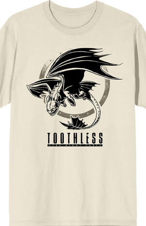 How to Train Your Dragon Toothless T-Shirt | PacSun