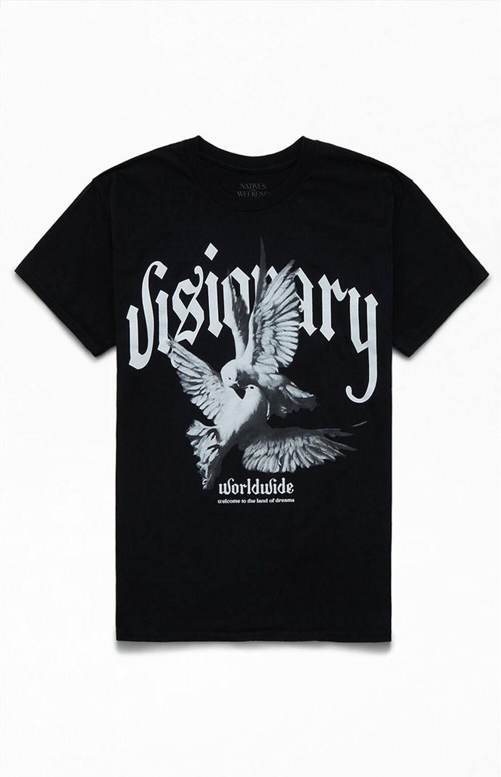 Visionary T-Shirt | PacSun
