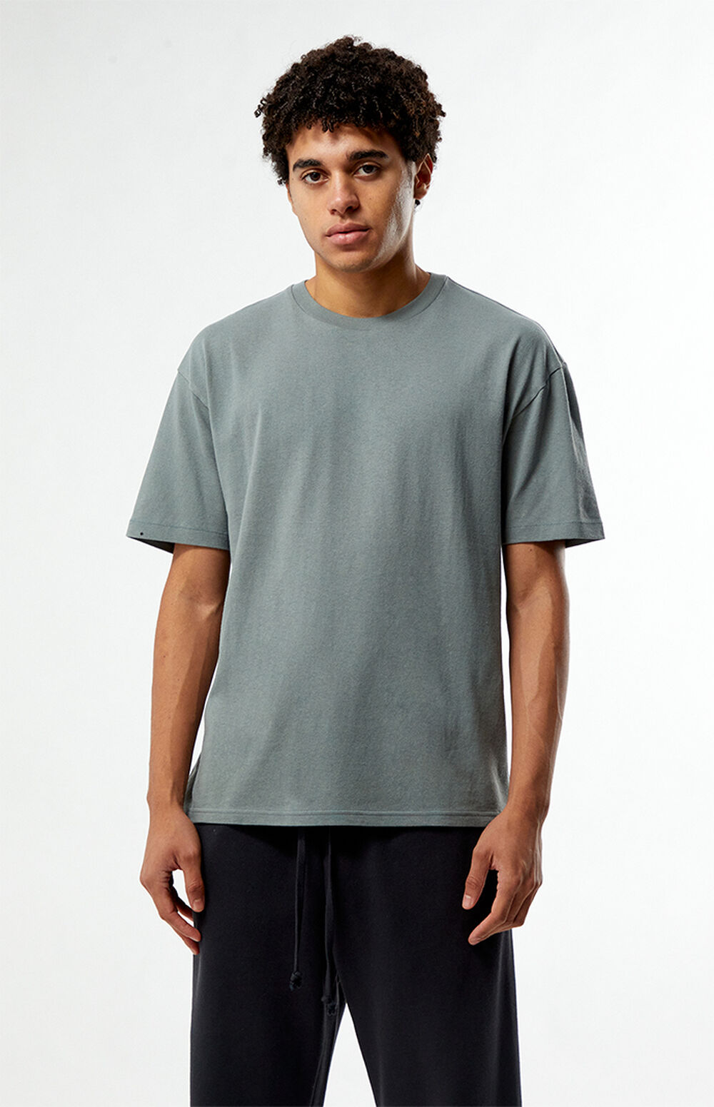 PS Basics Basic Reece T-Shirt | Pacsun