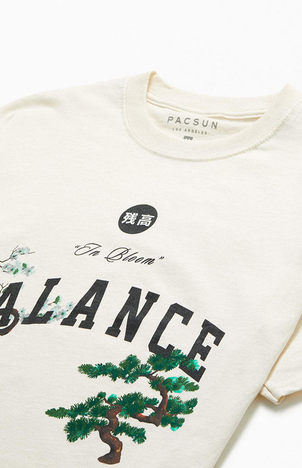 Pacsun Balance T-Shirt | PacSun