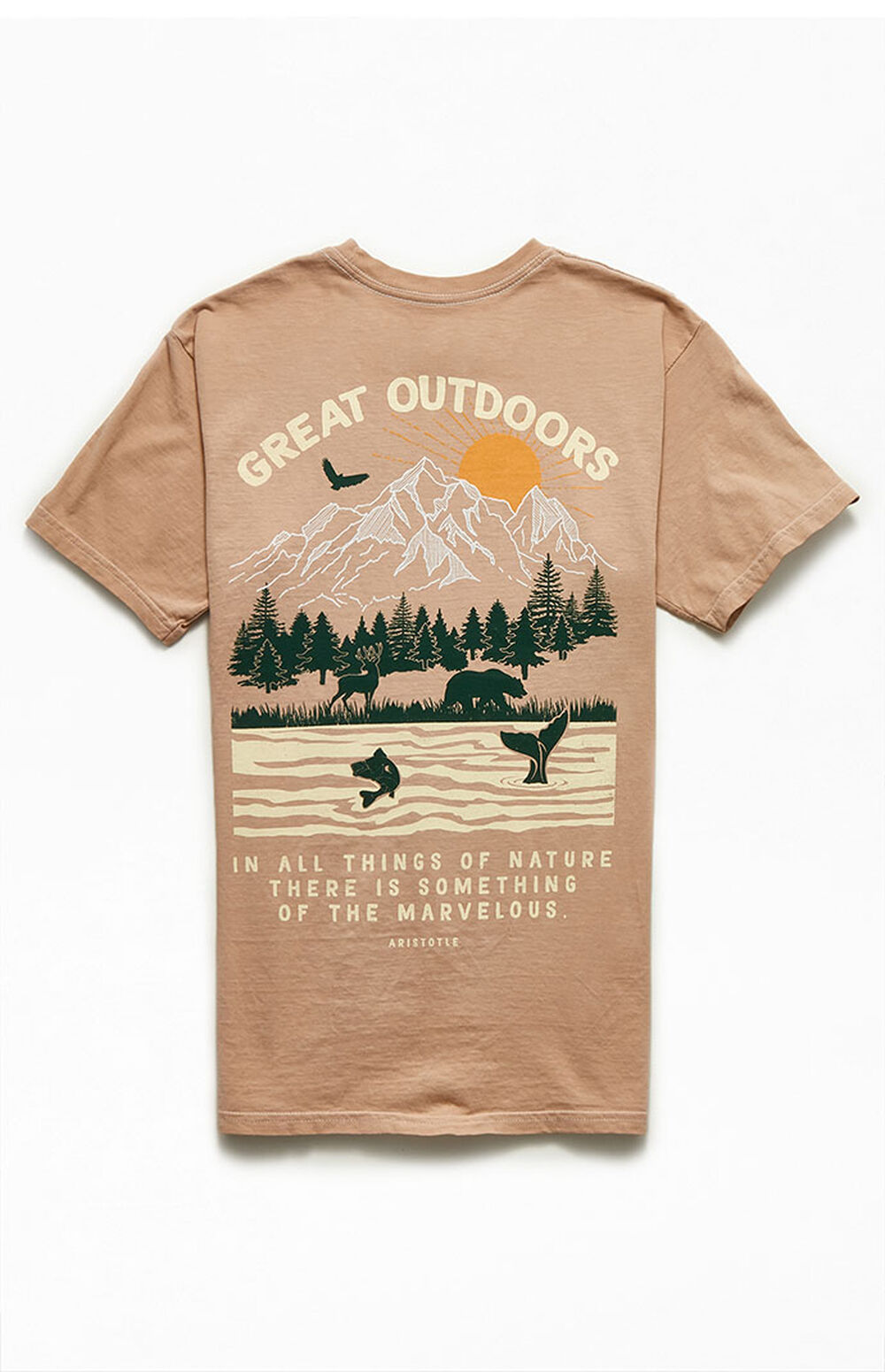 Great Outdoors T-Shirt | Pacsun