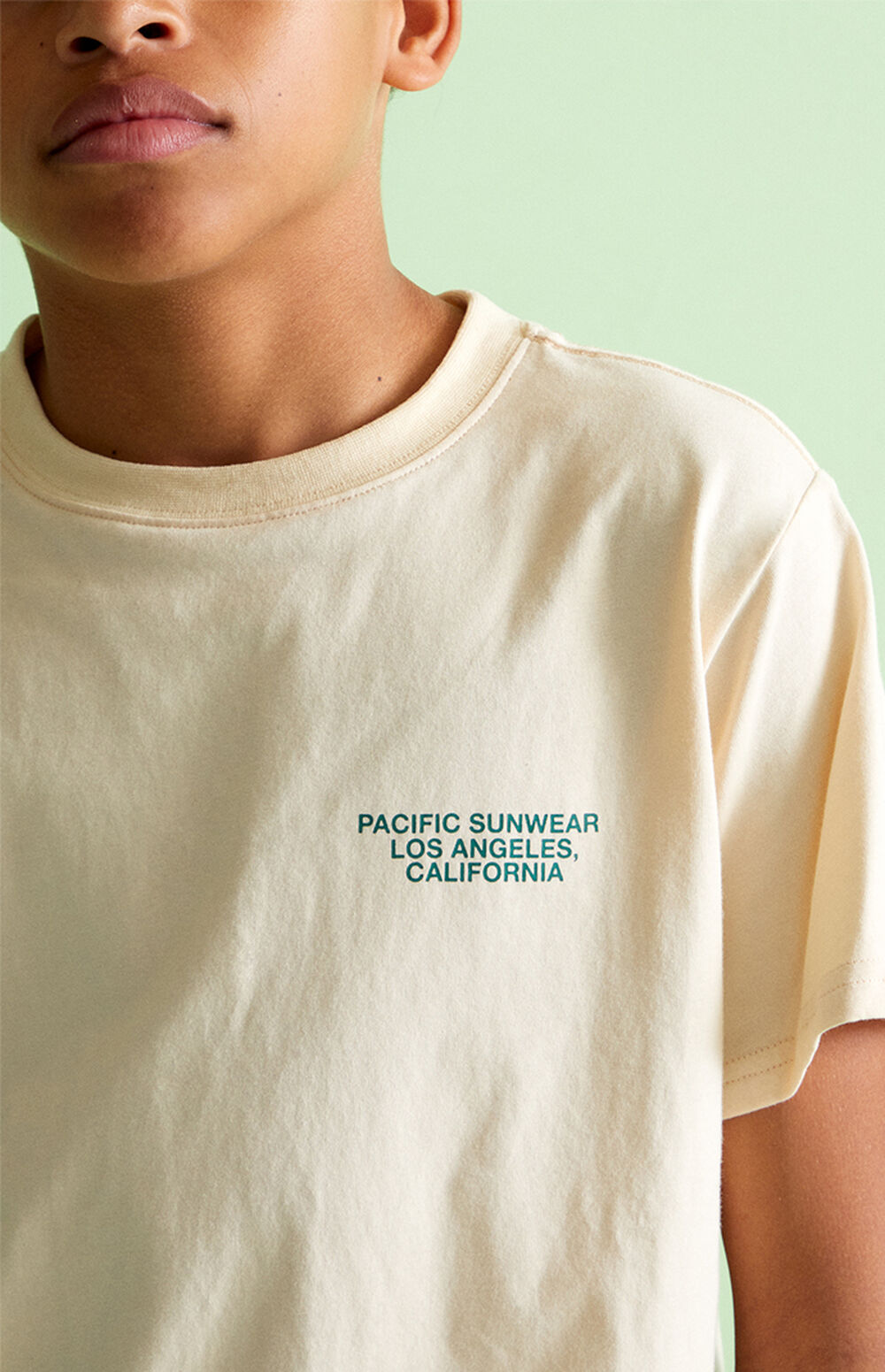 Pacsun Kids Pacific Sunwear Snake Palm T-Shirt | Pacsun