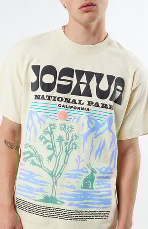 Pacsun Joshua Tree Puff Oversized T-Shirt | PacSun