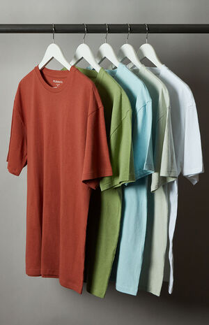 PS Basics 5 Pack Reece Seasonal T-Shirts | Pacsun
